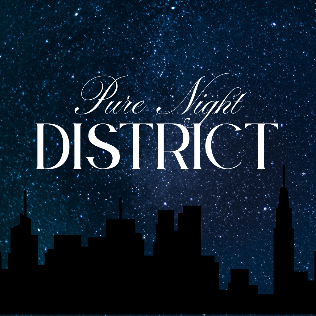 Pure Night District | VR Roleplay Repo